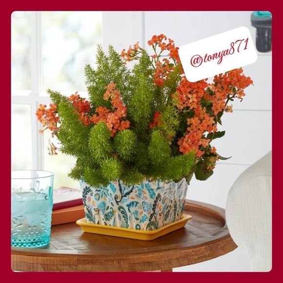 The Pioneer Woman | Other | Newthe Pioneer Woman Toss 6 Square Ceramic ...